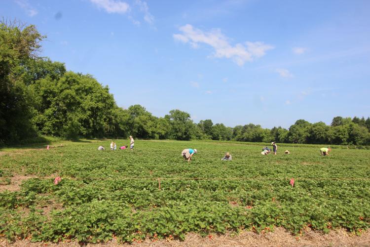 Paul Mazza’s Farm Stand celebrates 40 years, starts sales | Business ...