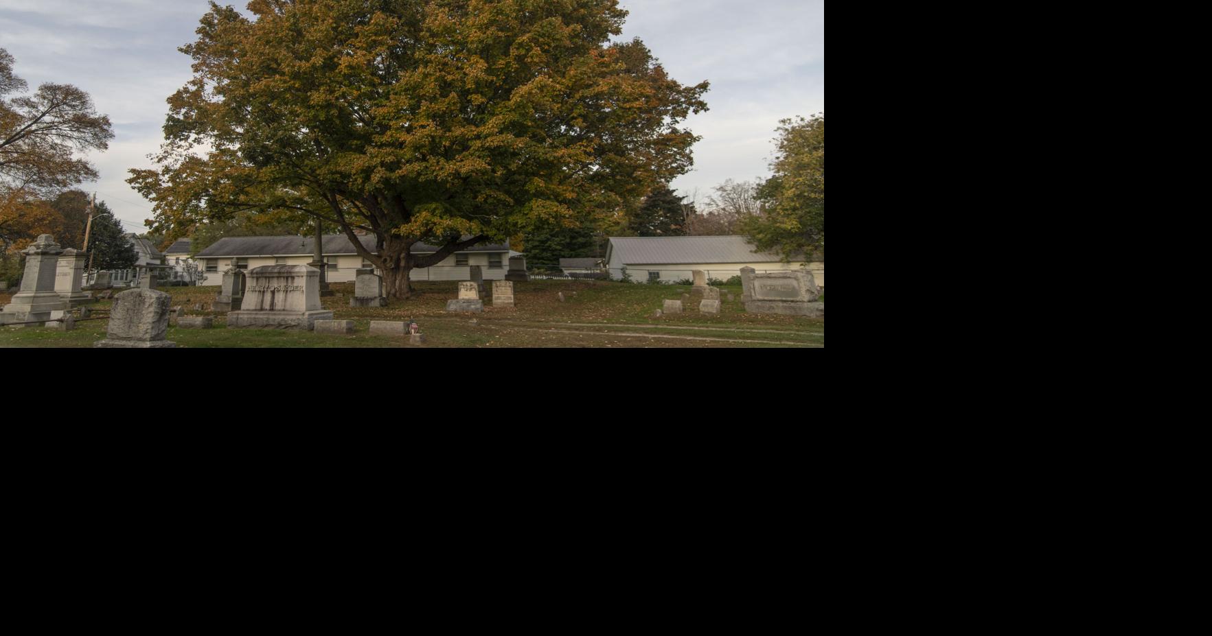 Essex Junction tree advisory committee hosts second annual greatest ...