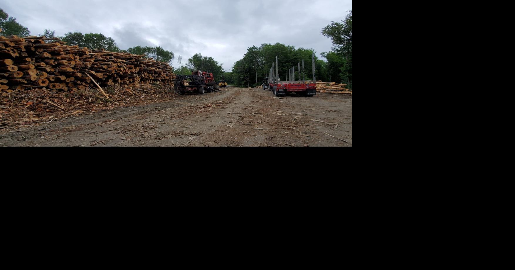 Seeing Vermont: Visit the depopulated town of Lewis that is now used ...