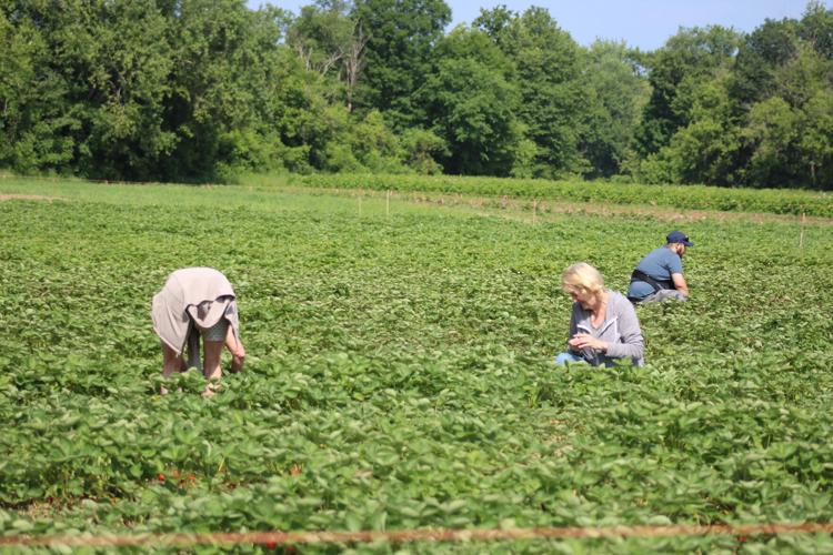 Paul Mazza’s Farm Stand celebrates 40 years, starts sales | Business ...