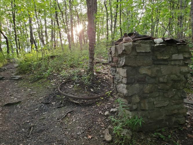 Seeing Vermont: Wildlife call Raven Ridge Natural Area in Monkton home ...