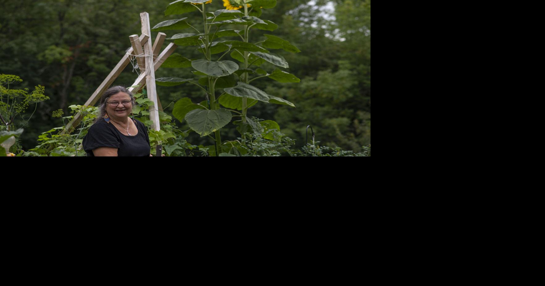 Winooski Abenaki and French Canadian artist Judy Dow, resident of Essex ...