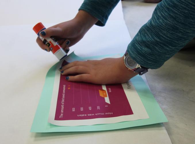 Slime, dream residue and bacteria: Essex middle schoolers off to ...