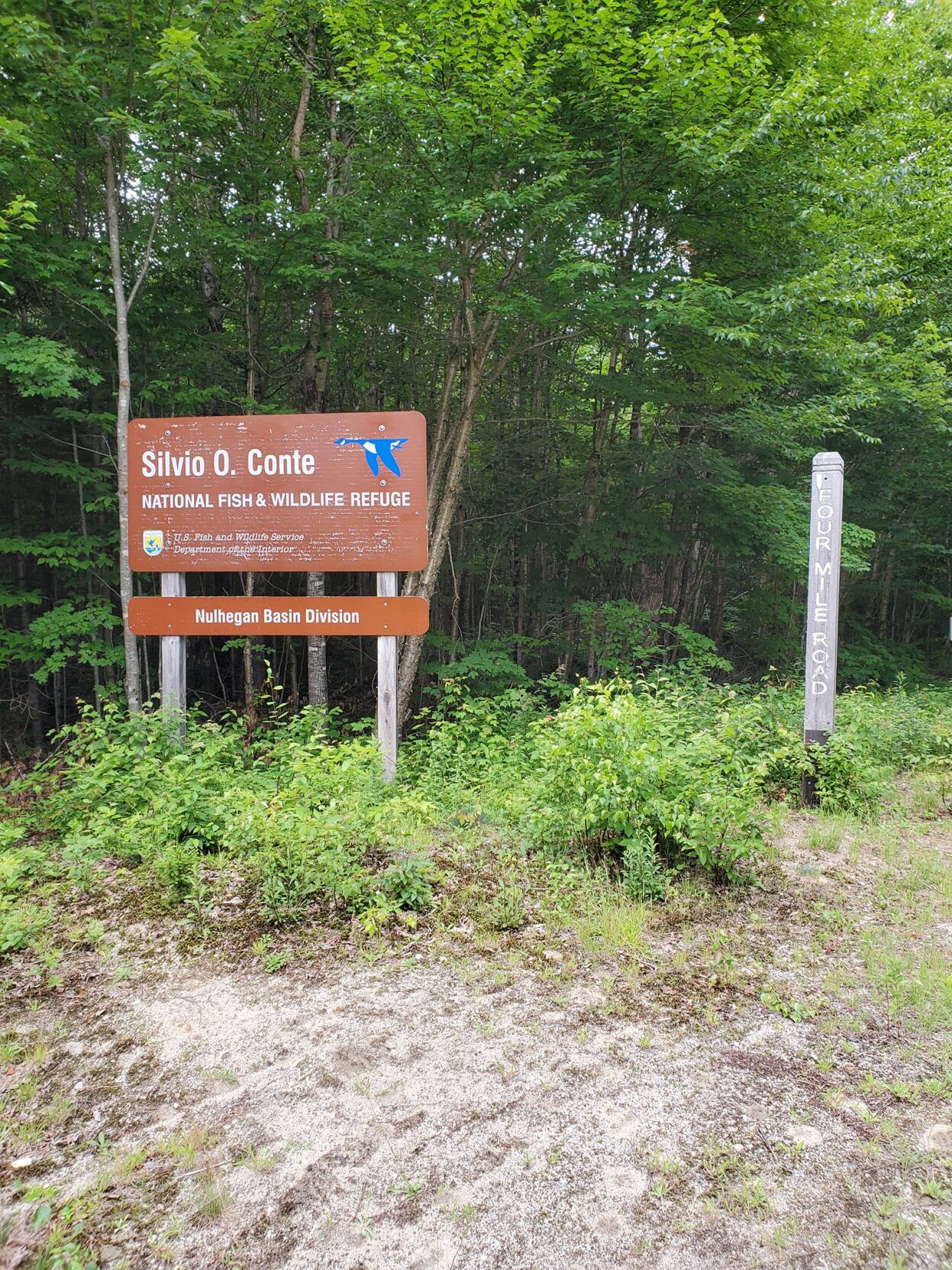 Seeing Vermont: Visit the depopulated town of Lewis that is now used ...