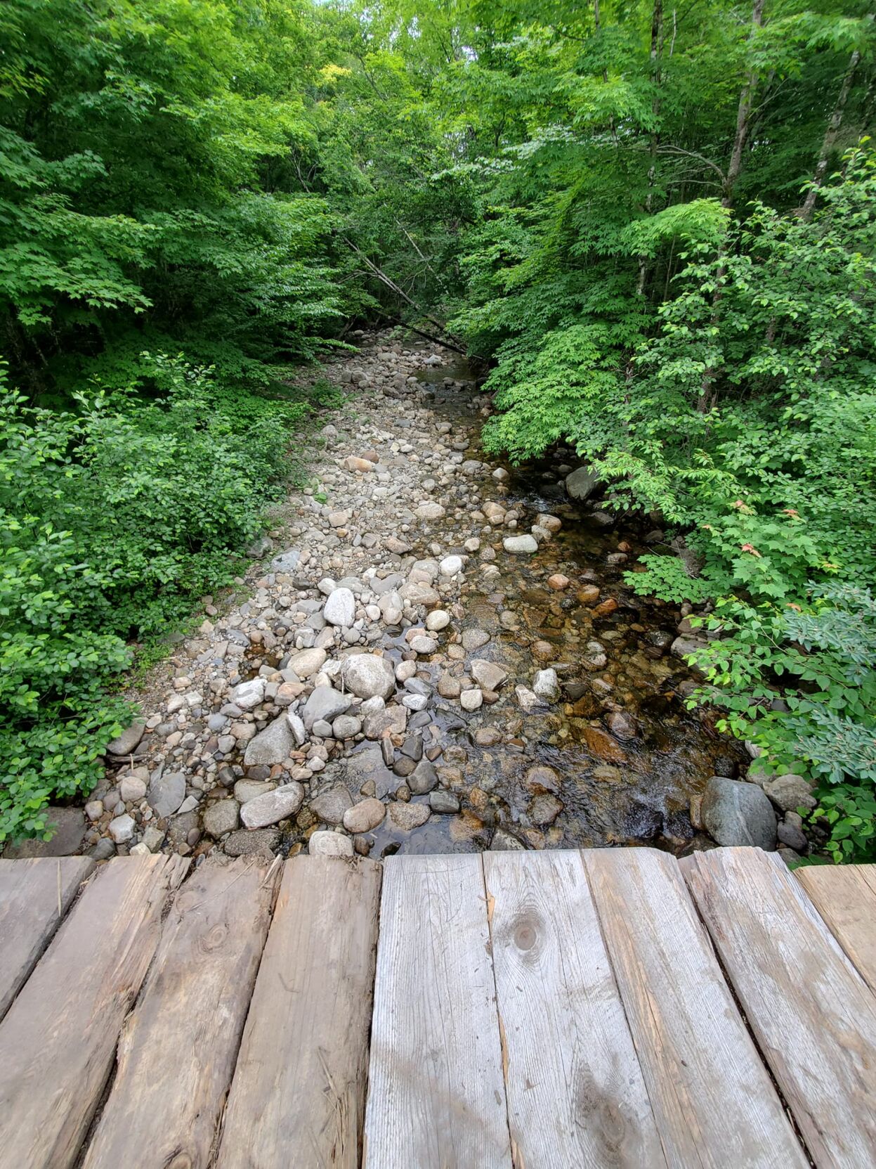 Seeing Vermont: Visit the depopulated town of Lewis that is now used ...