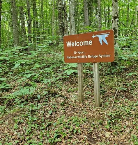 Seeing Vermont: Visit the depopulated town of Lewis that is now used ...