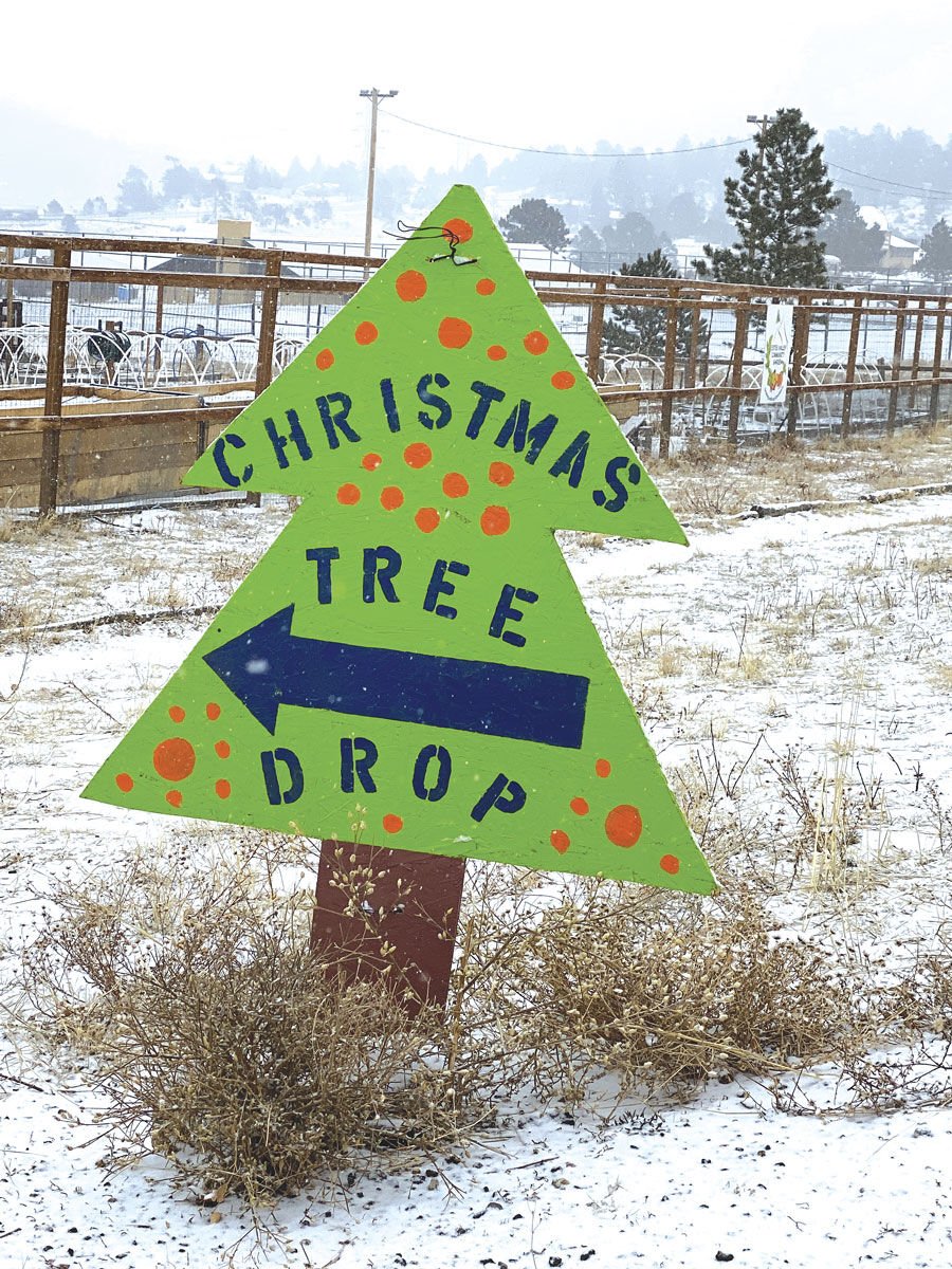 Drop Off Christmas Trees December 29th - January 16th At The ...