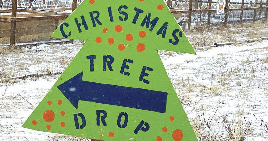 Drop off Christmas trees Dec. 26 - Jan. 17 at the Fairgrounds | Estes ...