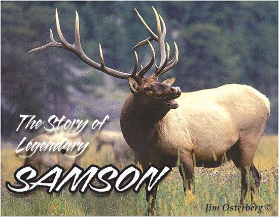 Samson-His Legacy Lives On 25 years After His Death | Estes Valley ...