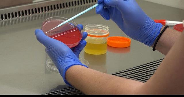 Estes Park Health Laboratory: The Heartbeat of the Hospital | Estes ...