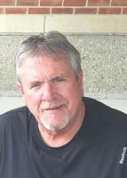 Five Fun Facts About… Elk Calves | Estes Valley Spotlight ...