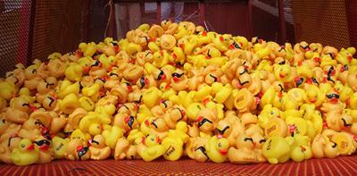 2015 Estes Park Duck Race Winners | Featured Articles | estesparknews.com