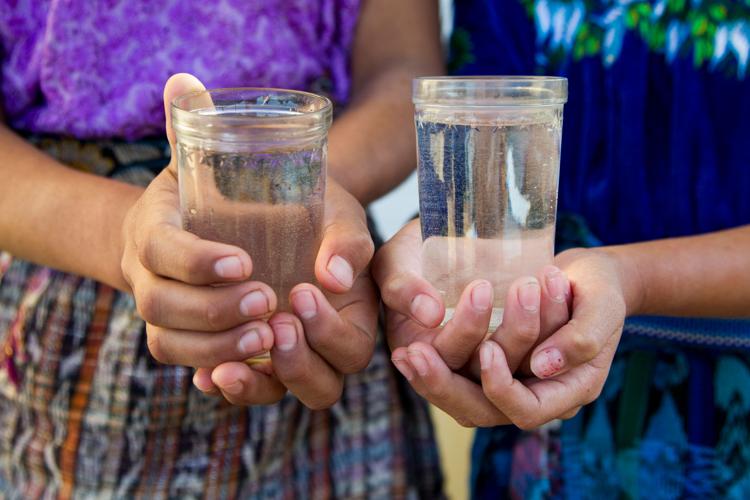Sunrise Rotary Will Display Pure Water System at Labor Day Arts ...