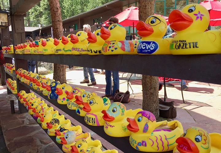 Adopt Your Ducks Now For The Great Estes Park Duck Race | Featured ...