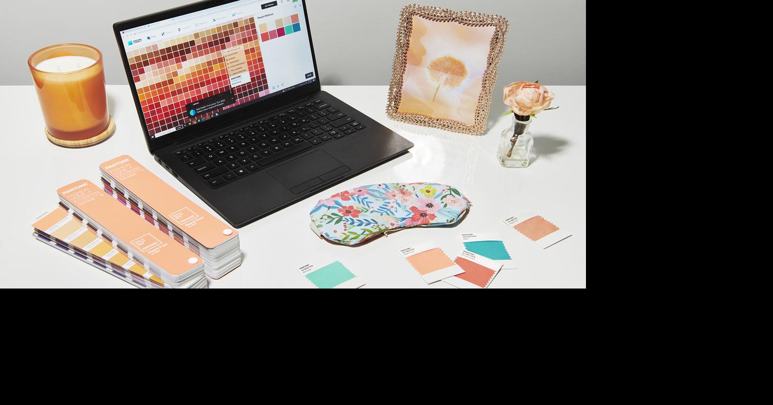 X-Rite digital workflow tools help produce Pantone Color of Year, Peach ...