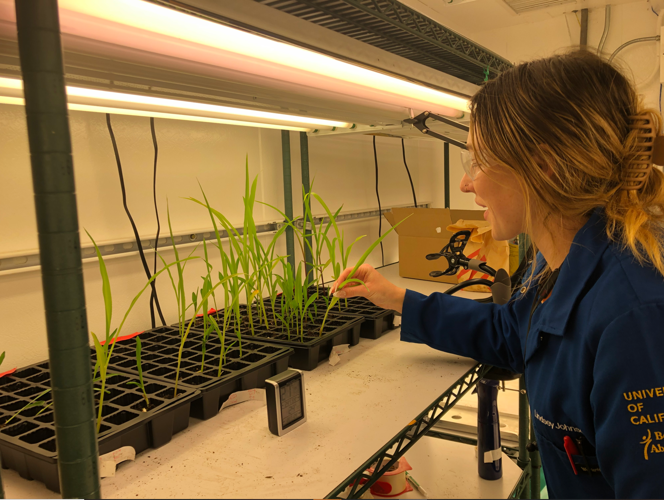 Trelleborg partners with Algenesis to create sustainable thermoplastic ...