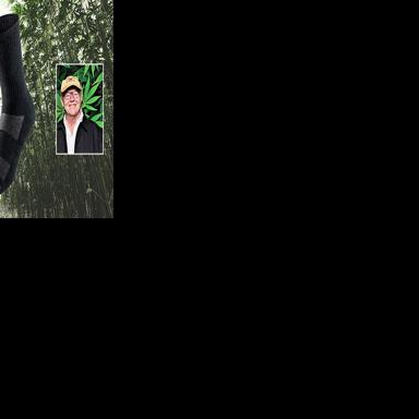 Bear Fiber on leading edge of creating U.S. hemp fiber value chain ...