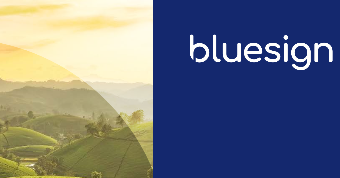 bluesign System publishes Impact Report 2024 | Industry News ...