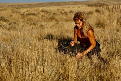 Shaniko’s Jeanne Carver receives major award from U.S. sheep industry ...