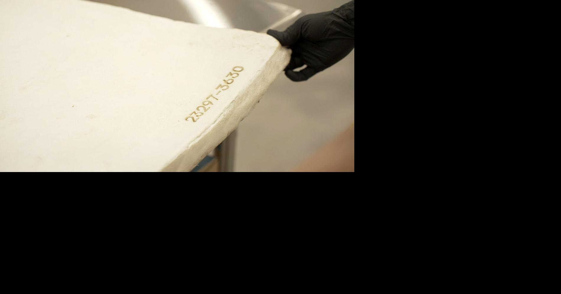 MycoWorks announces harvest of first 1,000 sheets of Fine Mycelium ...