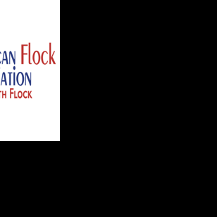 American Flock Association launches Flock 4.0 with new website, tagline ...