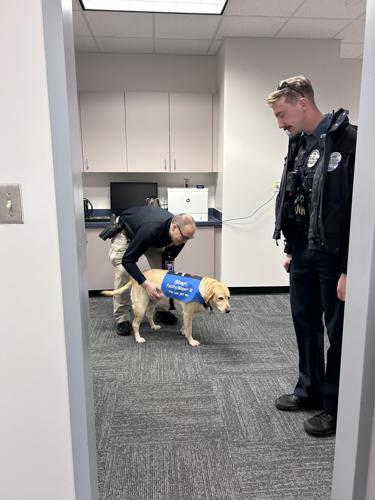 Local therapy dog helps police combat PTSD | Articles | fairfaxtimes.com