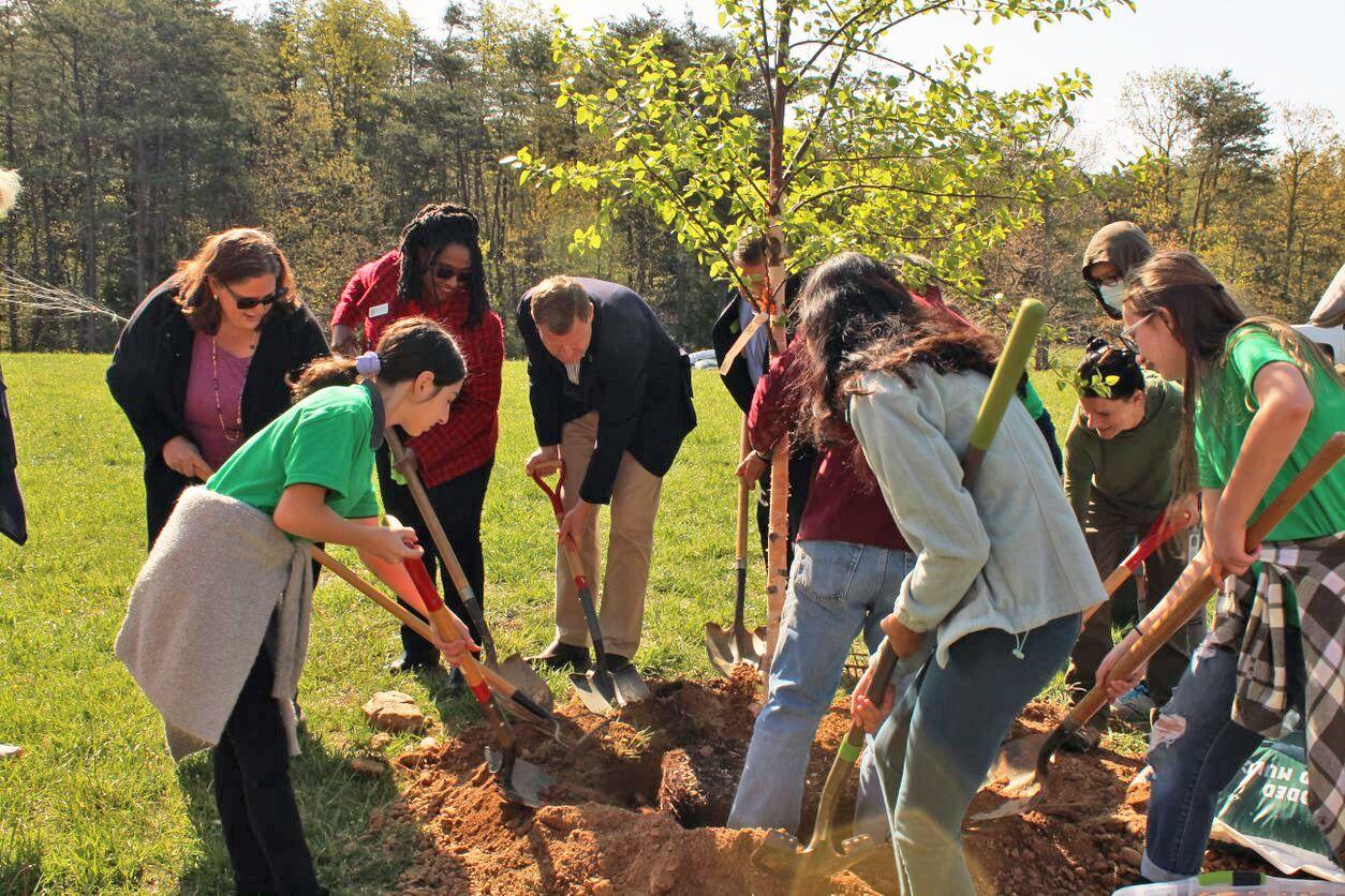 Liberty MS commits to protecting the environment with tree planting ...