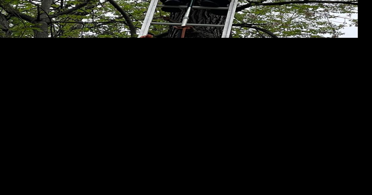 Public Safety - Week of April 21, 2023 | Public Safety | fairfaxtimes.com