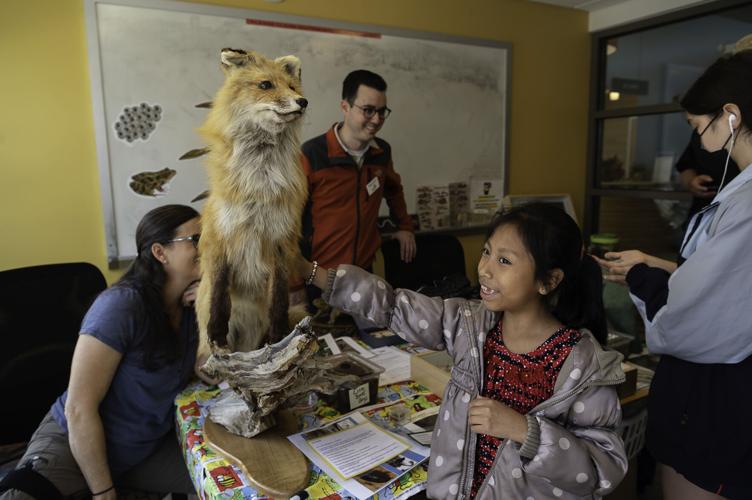 Culmore Community Day strengthens neighborhood bonds | Arts ...