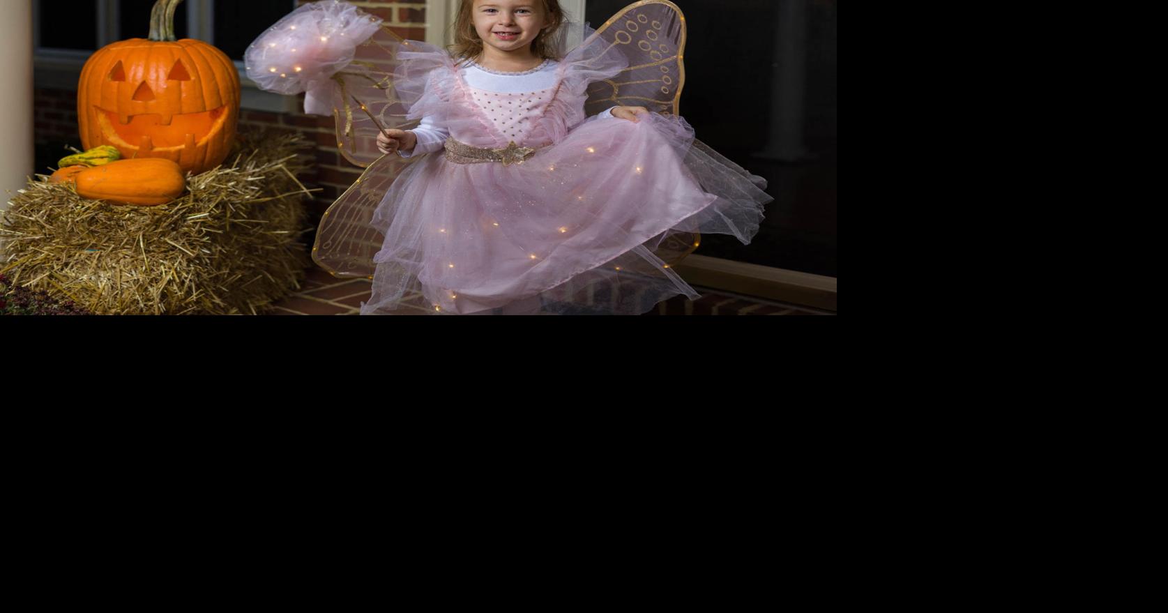 Beautiful little faerie | People And Places | fairfaxtimes.com