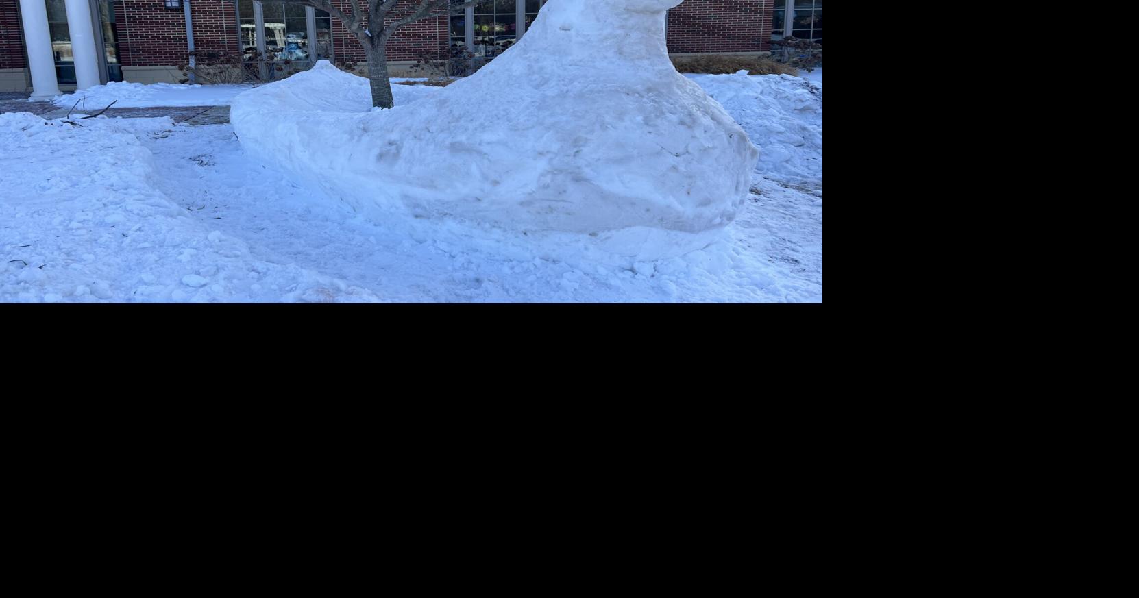 Snow stories | Articles | fairfaxtimes.com