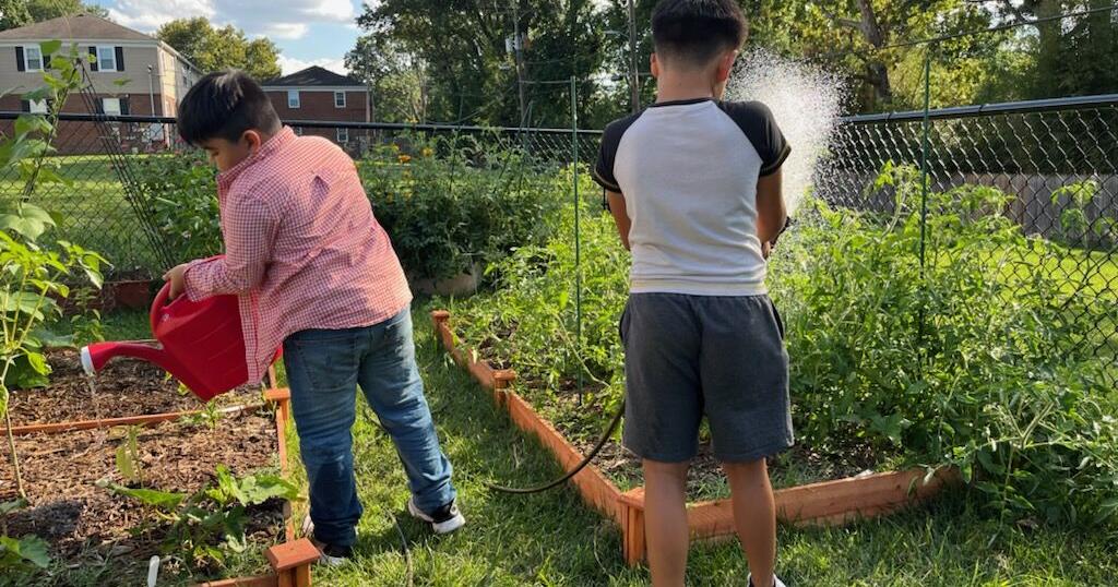 Hands on Harvests shares fresh produce from the ground up | Positive ...