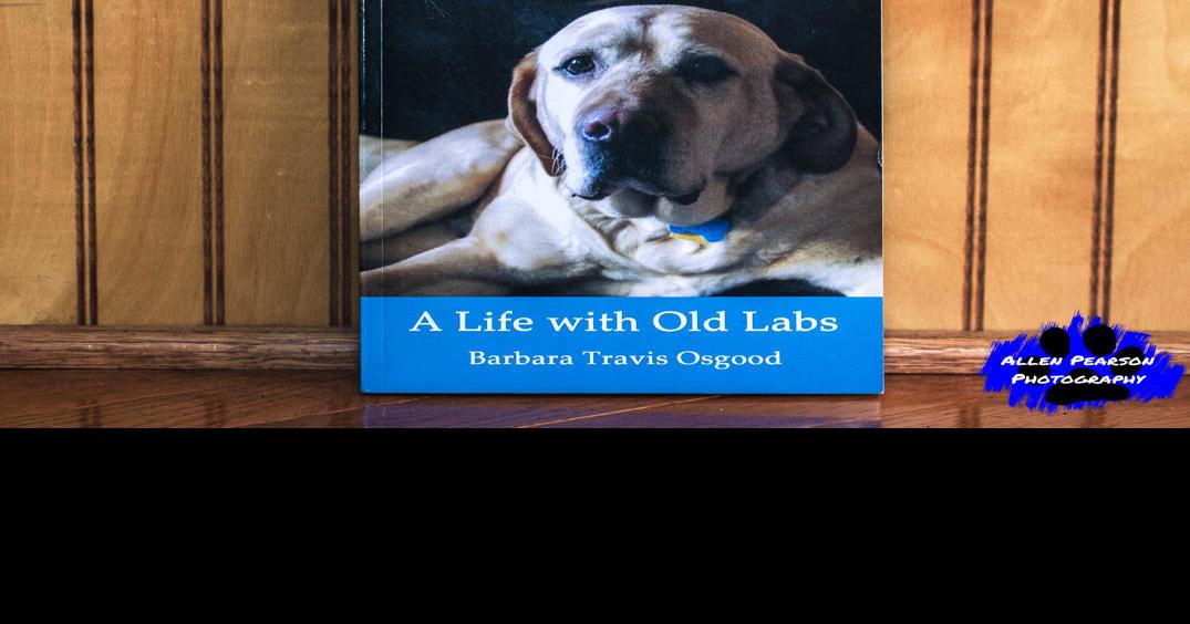 From The Dog’s Paw - Book review: ‘84 Paws, A Life with Old Labs’ by ...