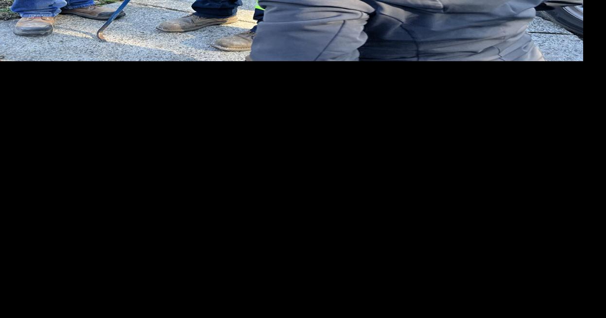 Reston cat rescued with the help of Stormwater Management | Pets ...