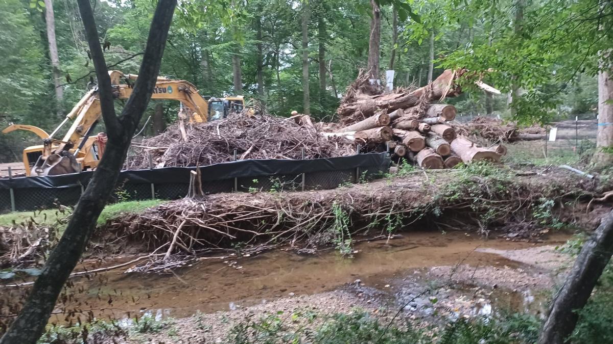 Stream restoration project sparks outrage over tree decimation ...
