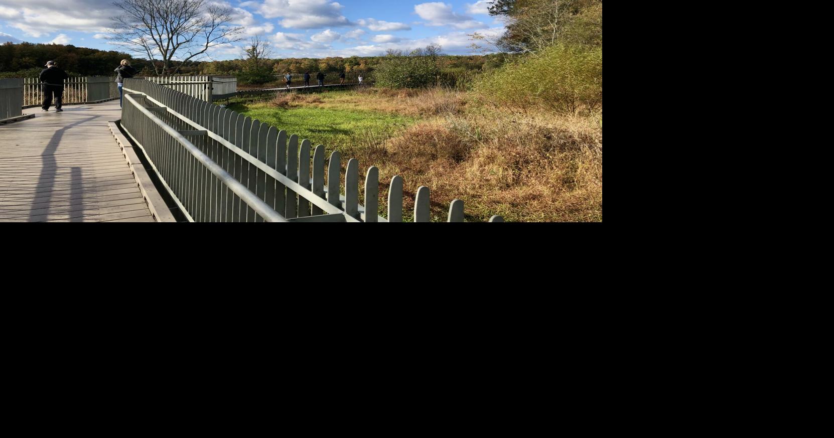 There are plenty of places to see Fairfax County’s finest fall foliage ...