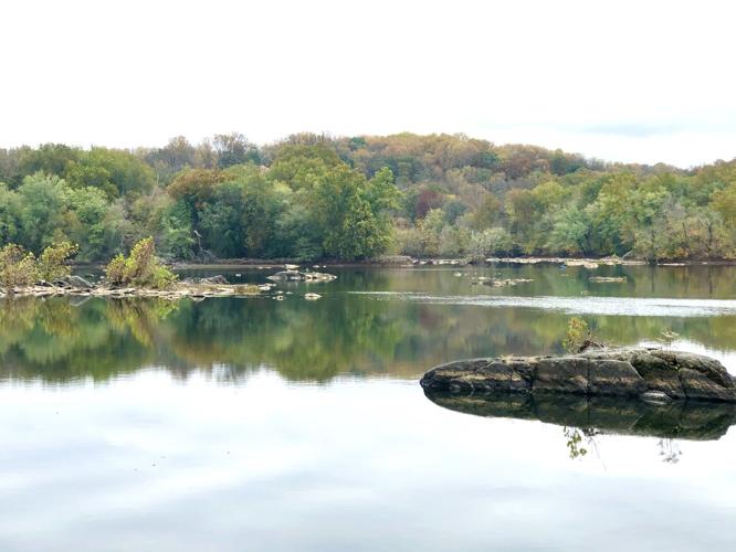 There are plenty of places to see Fairfax County’s finest fall foliage ...