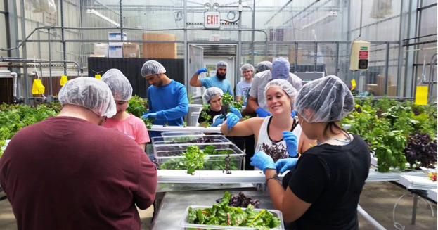 Growing their own: Fundraiser launched to expand GMU fresh food ...