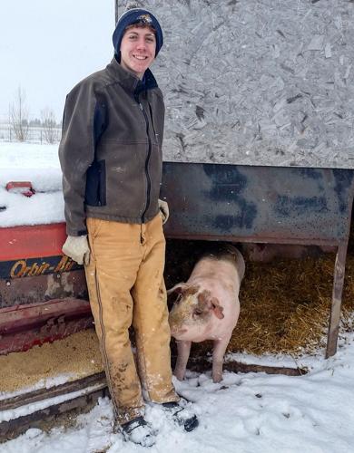 Getting Ready for the 4-H Fair in June | Local News | fairfieldsuntimes.com