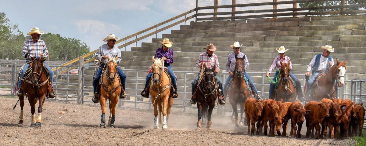 Augusta Has Senior Rodeo | National | fairfieldsuntimes.com
