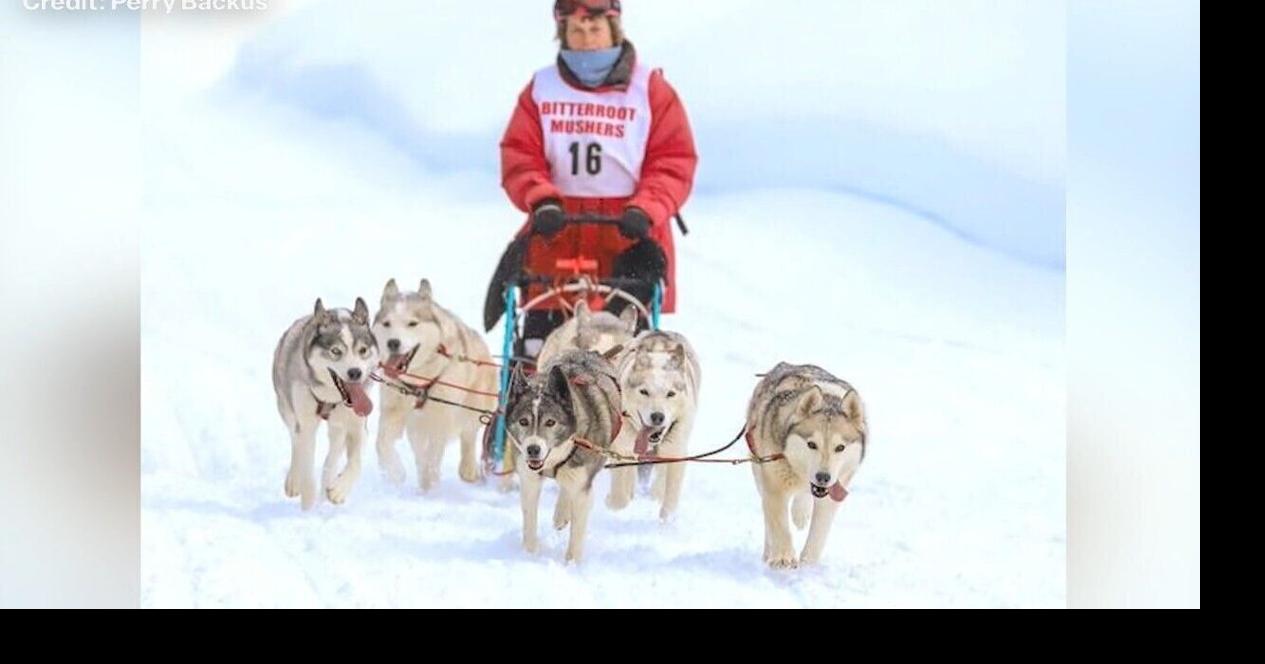 Darby Dog Derby brings excitement to Bitterroot | State ...