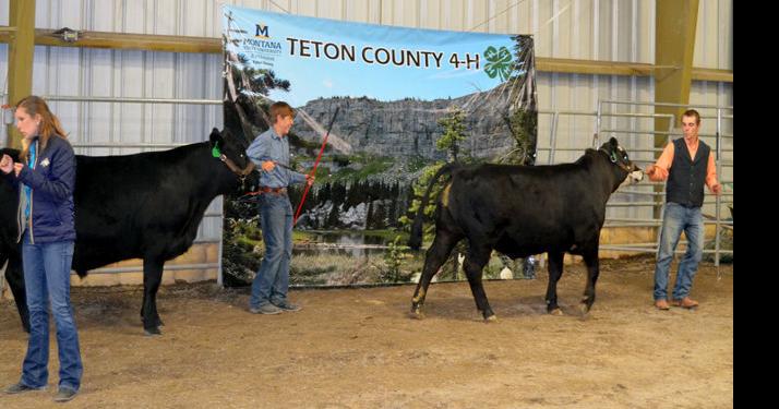 2016 Teton County 4H Fair | | fairfieldsuntimes.com