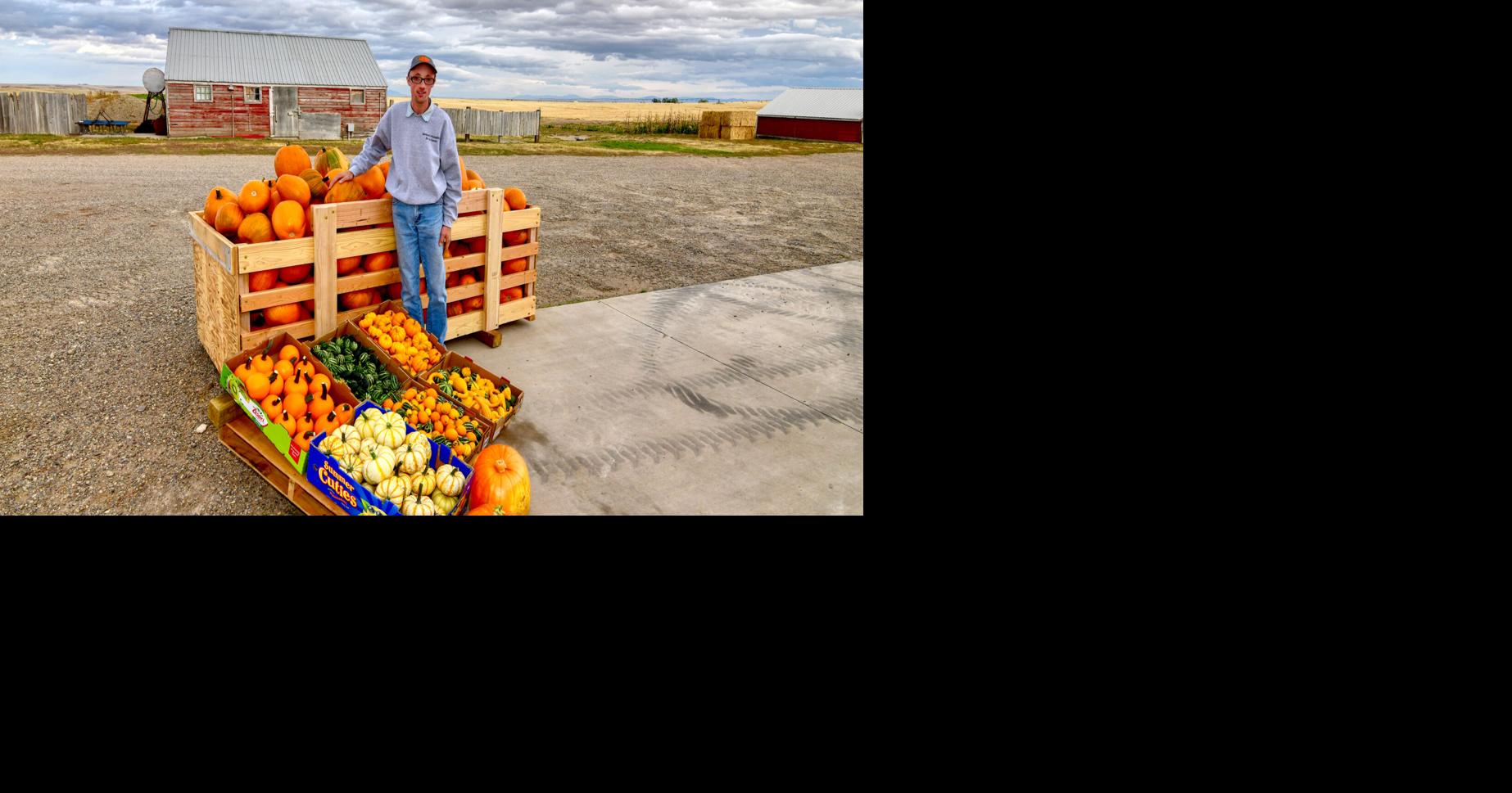 Jordan’s Pumpkins for a Cause Is Set for October 2 | Local News ...