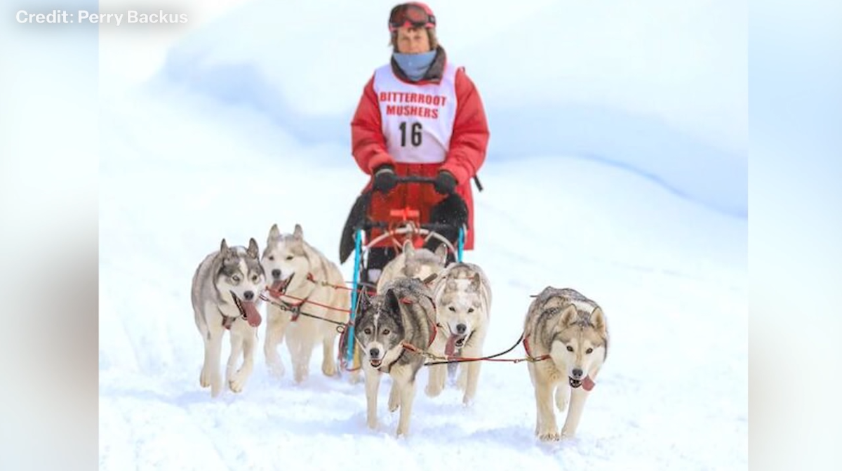 Darby Dog Derby brings excitement to Bitterroot | State ...