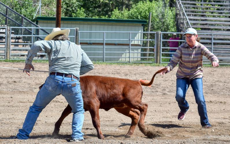Augusta Has Senior Rodeo | National | fairfieldsuntimes.com