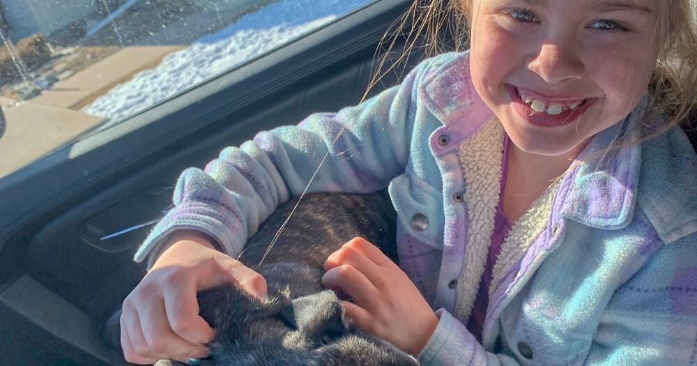 Best Friends, Renzee and Willie, Reunited | Local News ...