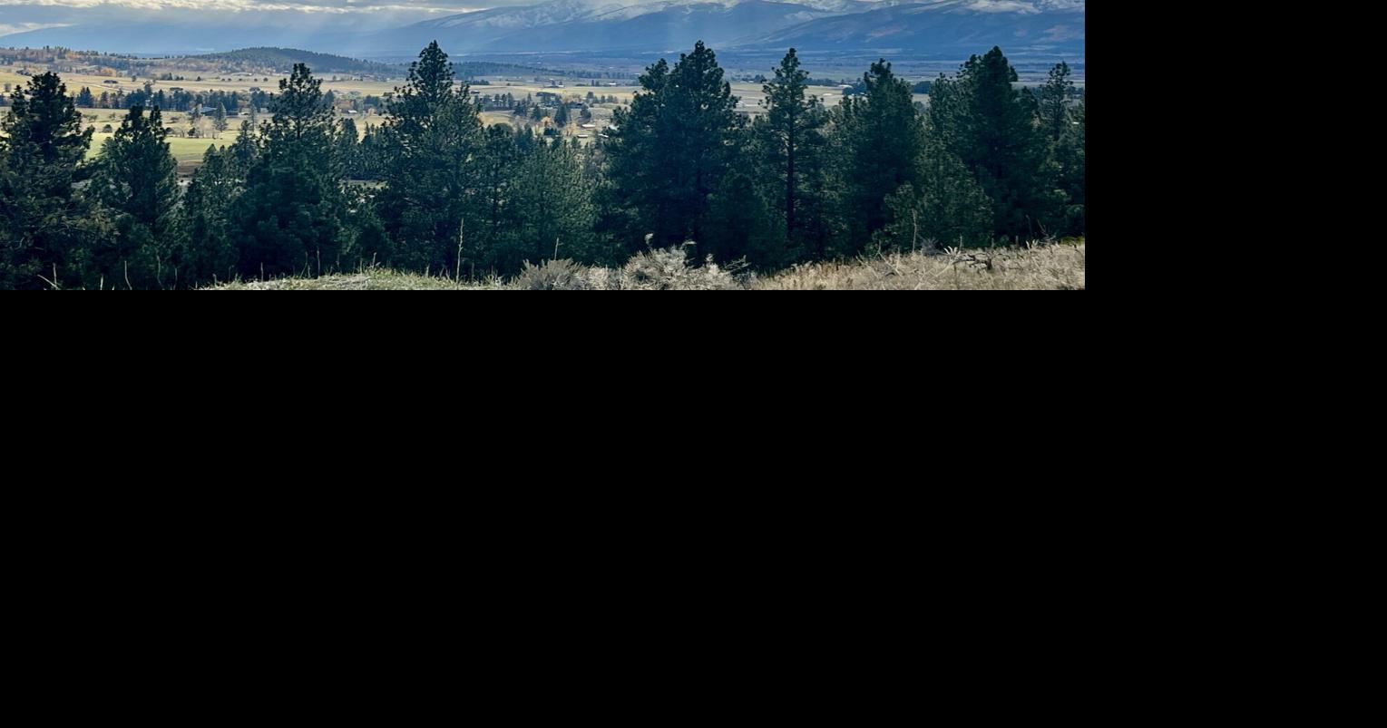 Conservation groups call on Forest Service to reject Sheep Creek ...