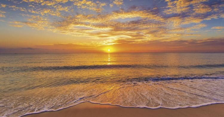 Pat (Kloppel) Shetler Celebration of Life | Local News ...