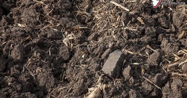 U of I gully prediction tools can lead to better management ...