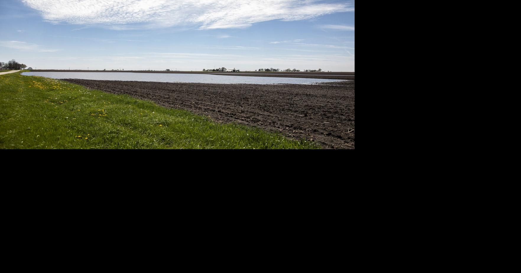 USDA issues first CFAP payments | National | farmweeknow.com